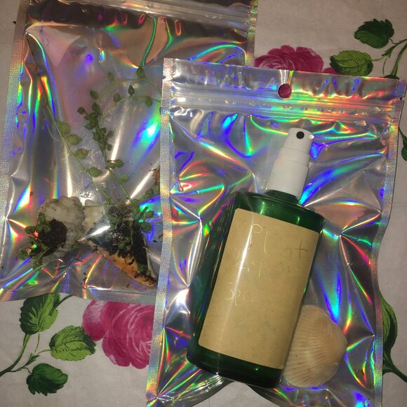 Hand Crafted | Other | Plant Lovers Gift Set Adorable Seashell String ...